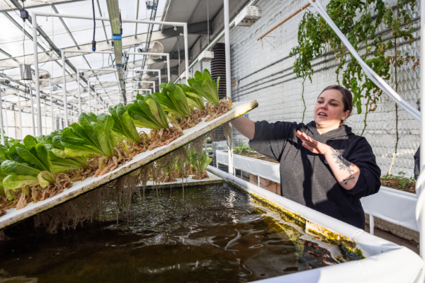 Get Updated with the Latest News, Ideas, & Evidence | RWJF